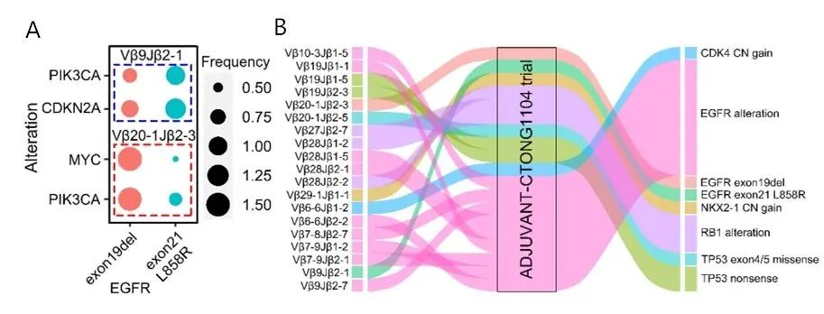 ADJUVANT再添硕果：T细胞受体克隆型可提示EGFR亚型辅助治疗疗效 - 世和基因
